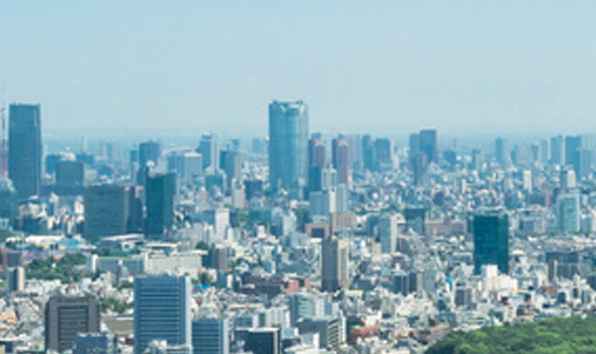 Nisshinbo Holdings Inc. Website